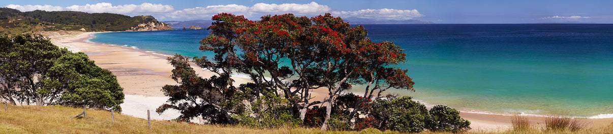 Pure Summer – Heritage Gallery
